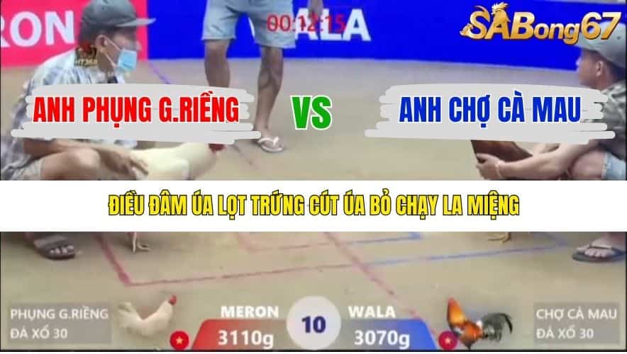 TRẬN 10 XÀ XÍA 14/1/2026 : ANH PHỤNG GIỒNG RIỀNG vs ANH CHỢ CÀ MAU